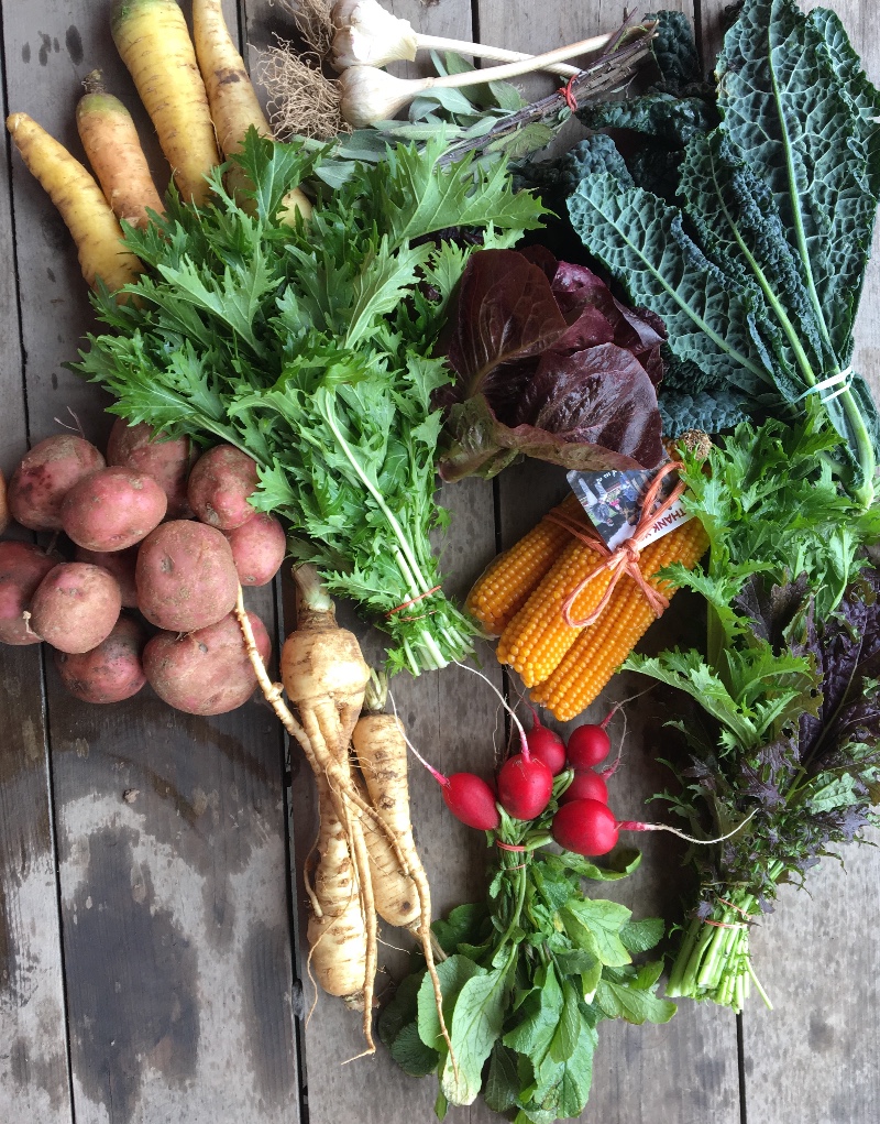 Columbia Greene County NOFA-NY New York Certified Organic CSA Farm ...